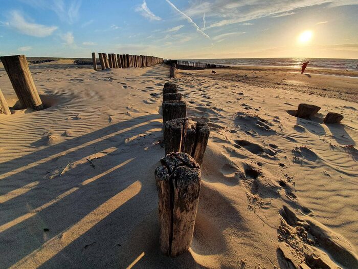 Strandschlafhäuser | Schlafen am Strand in Zeeland | Camping Zonneweelde