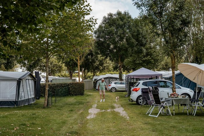 Vakantie in Limburg | Camping 't Geuldal
