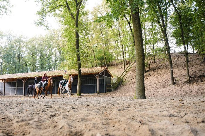 Vakantiepark Schaijk 💚 | Op 16 kilometer afstand!