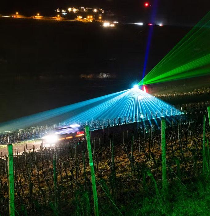 Wine Lights Enjoy